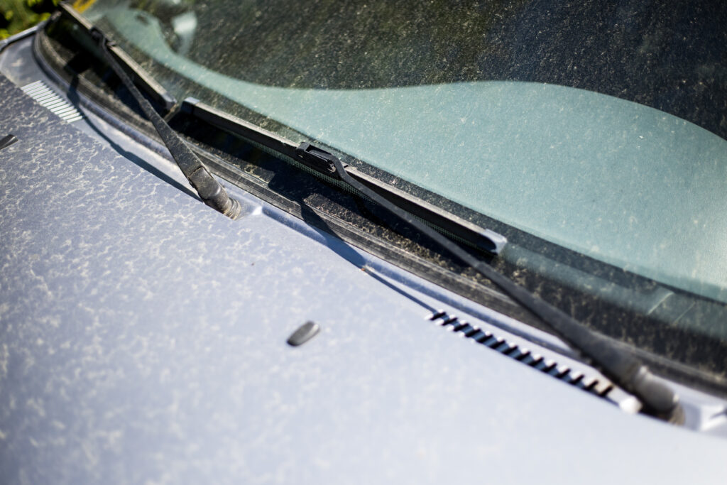 How Raleigh's Pollen Season Affects Garage Doors And How To Mitigate It ...